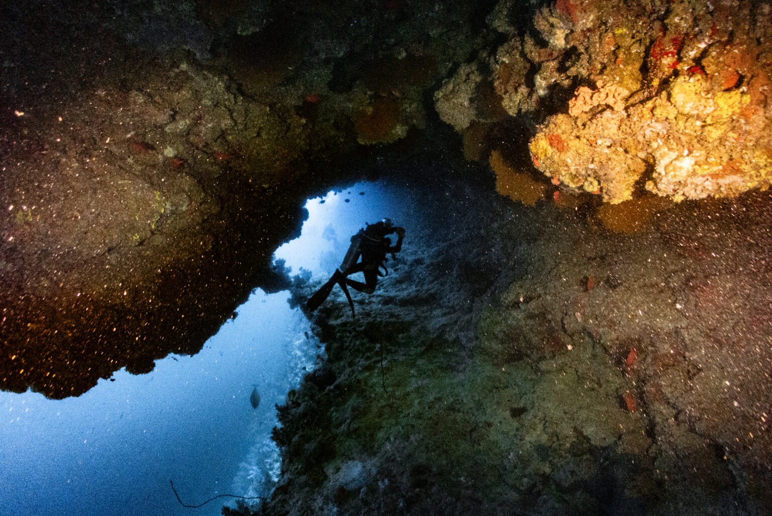 Dhangethi Maldives Diving Adventures l Orca Dive Club